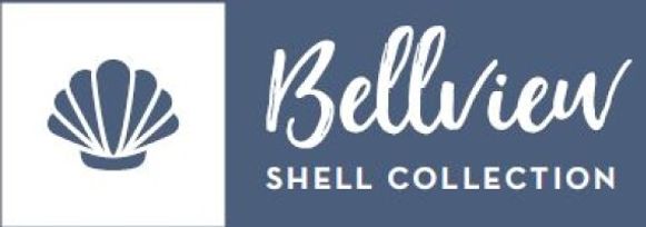 Bellview Shell Collection - The Margaret River Region