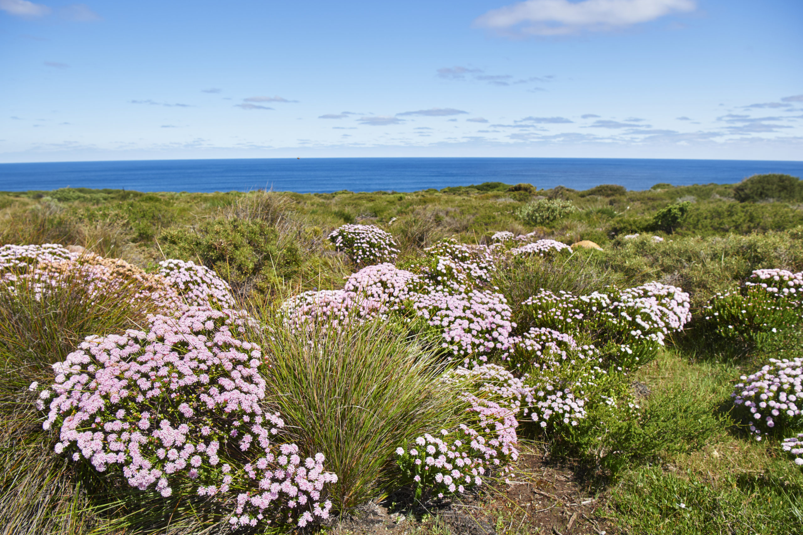 Six Seasons of Wadandi Boodja | The Margaret River Region