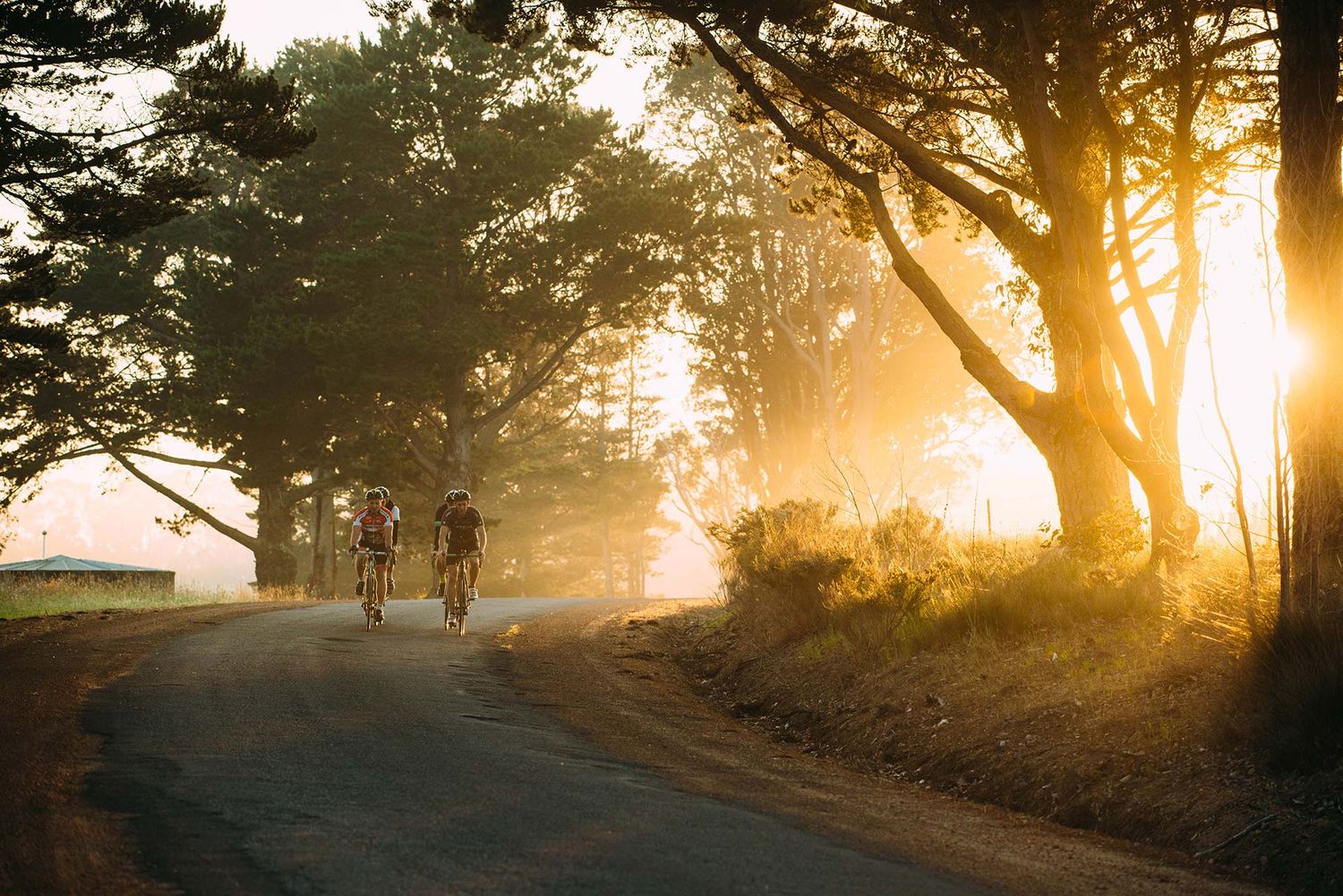 Road Cycling Group Rides | Things to Do | The Margaret River Region