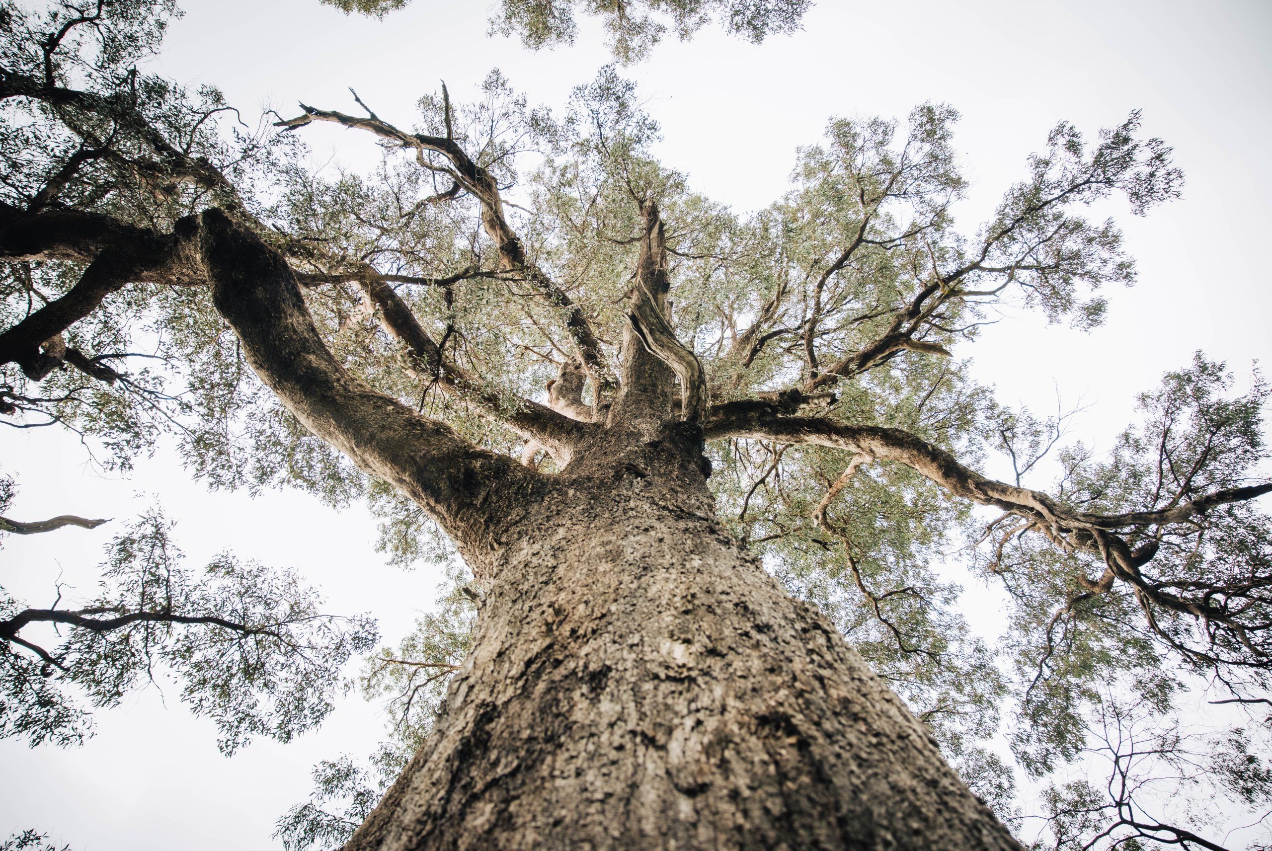 Busselton Bay & Bounty Trail | The Margaret River Region