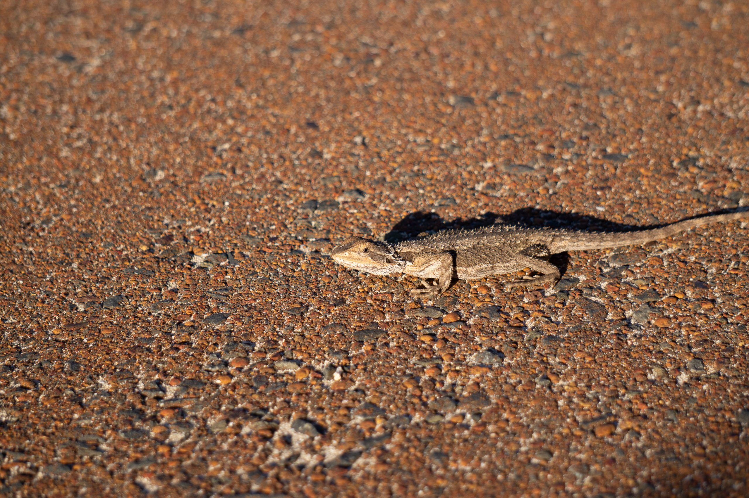 The spectacular Wadandi Track | The Margaret River Region
