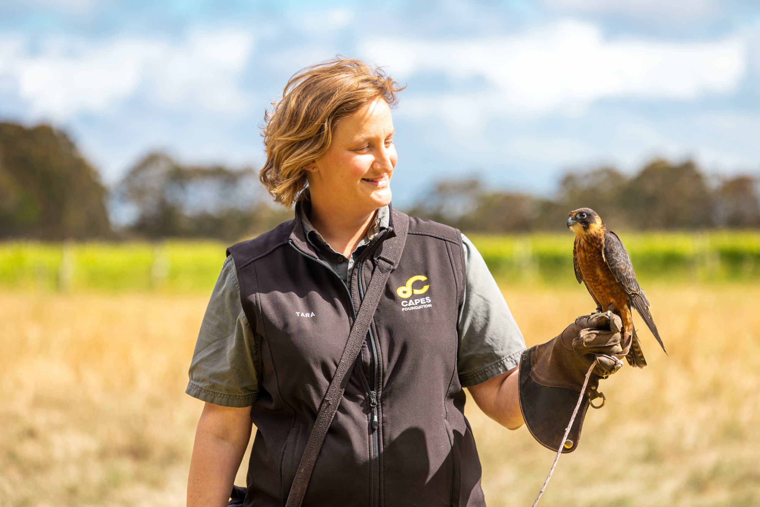 Wildlife: protecting vulnerable species in our region | The Margaret ...